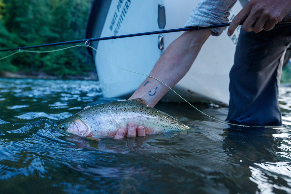 6 July 2021 - St Joe Fishing Report