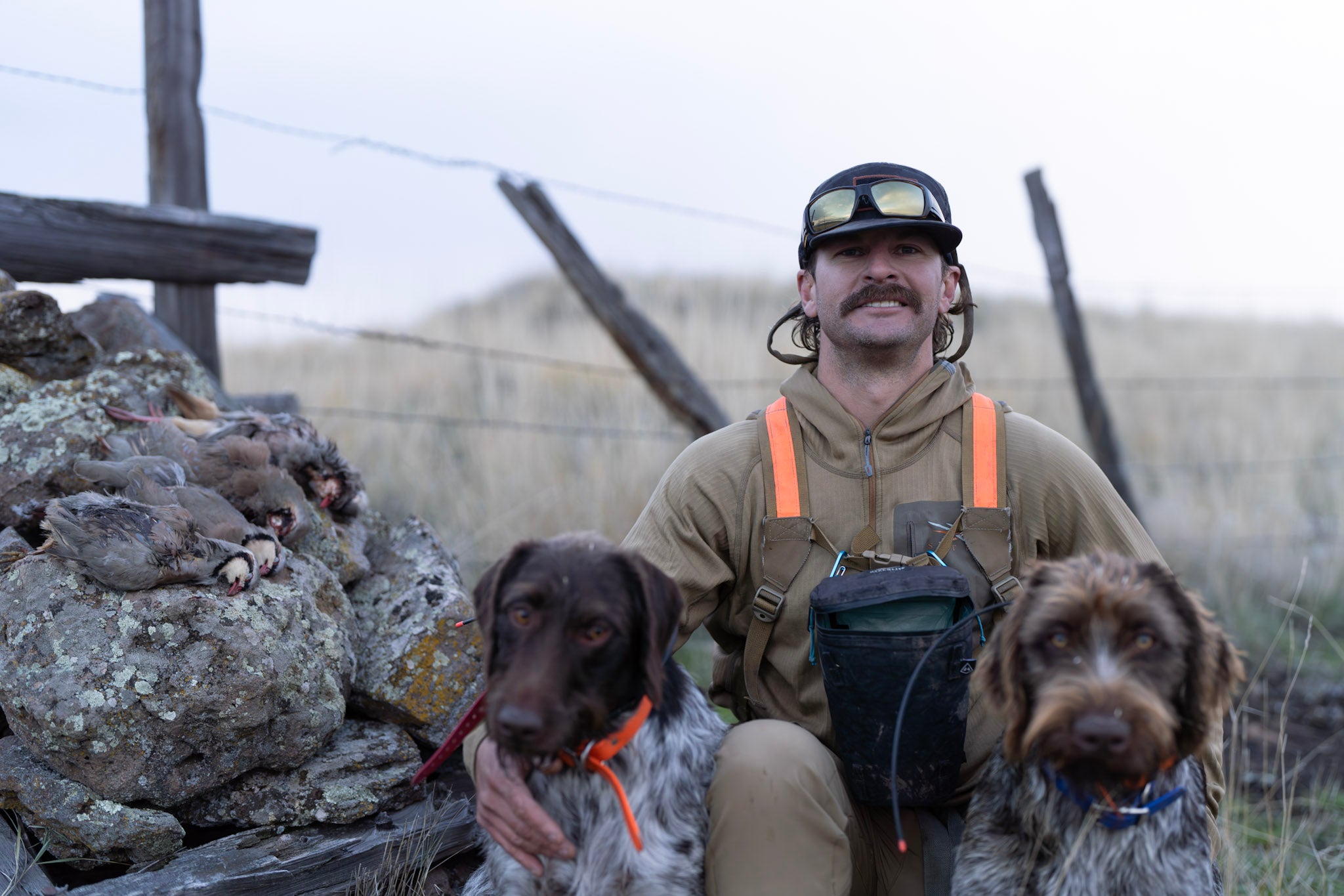 3-Day Upland Game Bird Hunting Trip in Hells Canyon and the Salmon Riv